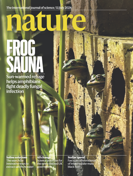Dr. Anthony Waddle saves frogs in NSW - American Australian Association